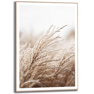 Reinders Gerahmtes Bild, Gras, Wohnzimmer, Bilder, Wanddeko, Room Decor, MDF, Beige, 70 x 50