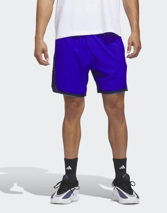 adidas adidas Performance - Anthony Edwards Crazy Lite - Short - Bleu lucide