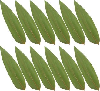 DOITOOL Bananenblätter Frisch : 100 StüCk Japanische Sushi Dekorative BläTter Sashimi Matten GrüNe BambusbläTter FüR Frische KüChe Ideal FüR Sushi Und Grillge