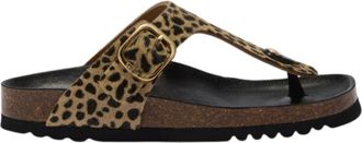 Scholl Femme, Chaussures, Brun, Taille: 38 EU Sandales Anais