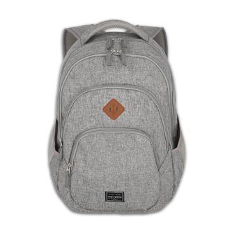Travelite Handgep&auml;ck Rucksack, Laptop Rucksack 15,6 Zoll, BASICS, Daypack, Tagesrucksack mit vielen F&auml;chern, 45 cm, 22 Liter