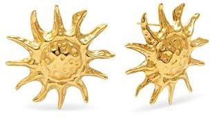 Singularu Boucles dOreilles Sun Light. Acier avec Plaquage Or 18 Kt. Bijoux pour Femme