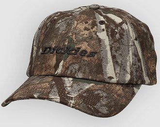 Dickies Middlefield Wash Dad Cap camouflage