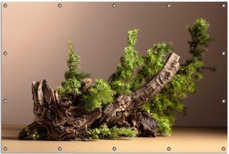 Wallario Outdoor-Poster f&uuml;r Garten oder Balkon Komposition aus Holz und Gr&uuml;n, Motivbanner Gr&ouml;&szlig;e: ca. 120 x 180 cm, Outdoor-Bild