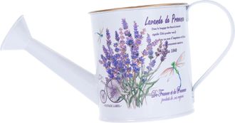 Valiclud Metall Blumeneimer Deko-gießkanne Mit Langem Ausguss Kleine Gießkanne Für Zimmerpflanzen Für Pflanzen Im Freien Blumen Gießkanne