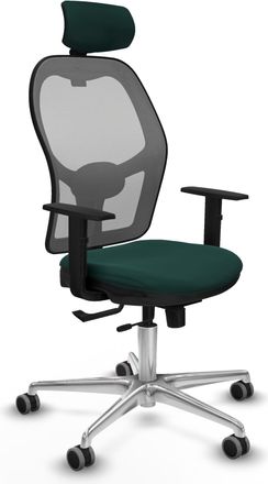 Piqueras y Crespo Anatomischer Stuhl mit 1D-Armen, h&ouml;henverstellbarer Lendenwirbelst&uuml;tze und h&ouml;henverstellbarem Kopfteil, h&ouml;henverstellbar und neigbar. Ausgestattet mit