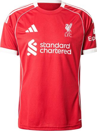 adidas Trikot Liverpool FC 25/26