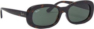 Ray-Ban Sonnenbrillen 0RB2221 Braun