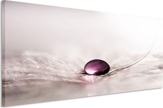Paul Sinus Art 150x50cm Leinwandbild auf Keilrahmen Pusteblume Wassertropfen Nahaufnahme abstrakt Wandbild auf Leinwand als Panorama