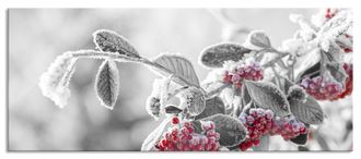 Pixxprint Glasbild Panorama, Wandbild aus Echtglas, Vogelbeeren im frostigen Winter, 120x50 cm, inkl. Aufh&auml;ngung und Abstandshalter