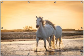 Wallario Outdoor-Poster f&uuml;r Garten oder Balkon Pferde im Abendlicht, Motivbanner Gr&ouml;&szlig;e: ca. 100 x 150 cm, Outdoor-Bild