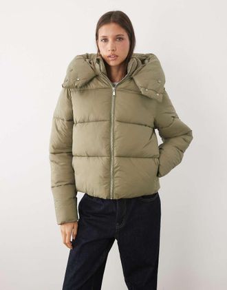 Threadbare kurze Pufferjacke mit Oversize-Kapuze in Salbeigr&uuml;n