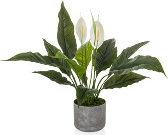 hjh OFFICE Kunstpflanze Spathiphyllum 1 - Immergrüne Kunstpflanze ca. 60 cm | Täuschend echt, pflegeleicht, geruchslos und dekorativ