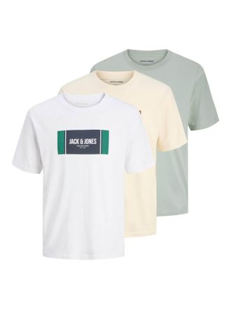 Jack & Jones T-Shirt JJHAYATO