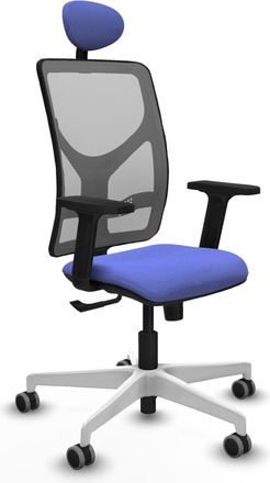 Piqueras y Crespo B&uuml;rostuhl f&uuml;r Lendenwirbels&auml;ule, verstellbar, mit 2D-Armlehnen und festem Kopfteil, ausgestattet mit 3 Positionen und Schneideschaum, mit Rollen von 6