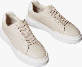 Calvin Klein Baskets basses en cuir