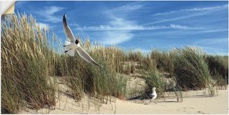 Artland ARTland Wanddeko Wandtattoo selbstklebende Vinylfolie 60x30 cm Strand Meer Küste Düne Möwe Natur Maritim T2SV