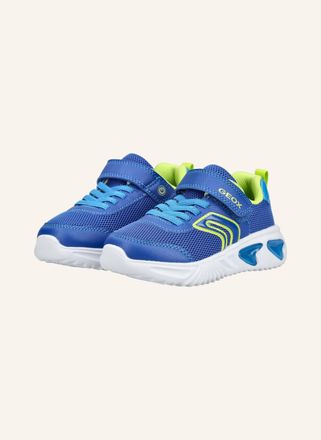Geox Sneaker Assister blau
