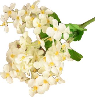 Generic 1 St&uuml;ck 18 Kopf K&uuml;nstliche Mini Primel Blumen Simulation Bouquet Gef&auml;lschte Blumenarrangements f&uuml;r Zuhause Hochzeitsdekoration Wei&szlig;