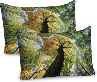 Abakuhaus Baum Kissenbezug Packung mit 2, Alter Wald im Herbst Grünes Naturlaub Laub Eco, Dekorativer Standard Gedruckter Kissenbezug, 80 x 40 cm, Dunkelbraun H