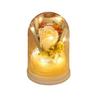 Generico Ewige Blumen, Ewiger Rosenstrau&szlig; im Inneren, mit Blumen, inklusive Licht, f&uuml;r Sie, als Geschenk f&uuml;r Damen, Geburtstag, Weihnachten, Valentinstag