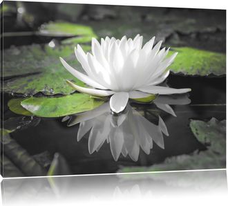 Pixxprint Weiße Lotusblume im Wasser, Größe: 100x70cm, Leinwandbild, fertig gespannt, Wandbild, Dekoration, Kunstdruck, kein Poster