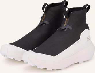 Arc'teryx Trailrunning-Schuhe Norvan 4 Nivalis schwarz