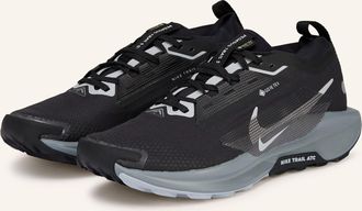 Nike Trailrunning-Schuhe Pegasus Trail 5 Gtx schwarz