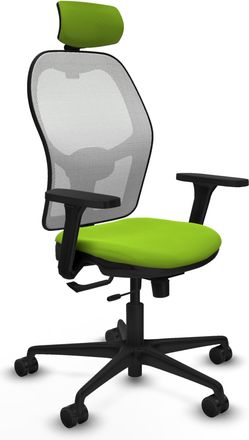 Piqueras y Crespo Ergonomischer Drehstuhl mit 3D-Armen, h&ouml;henverstellbare Lendenwirbelst&uuml;tze und h&ouml;henverstellbares Kopfteil, Wei&szlig; / Pistazie