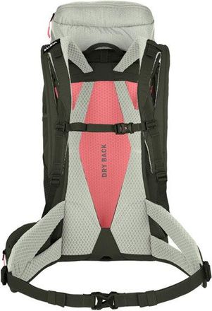 Salewa Alp Trainer 35+3 - Wanderrucksack