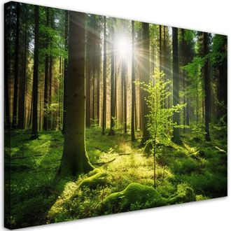 Feeby Bild Auf Leinwand Wald Sonne 60x40 cm 1 tlg Modern Leinwandbilder Bild auf Leinwand Kunstdruck Wand Bild Wanddeko Design Schlafzimmer B&uuml;ro Flur Hotel 