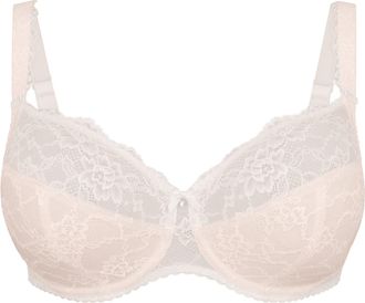 Rosa Faia BH Bobette