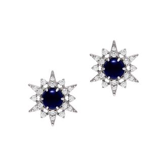 Emporio Armani Damen Ohrringe aus Edelstahl oder Halbedelsteinen mit Push-Back-Verschluss, Dunkelblau