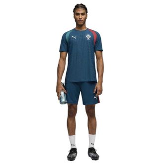 Puma World Cup 2026 T-Shirt f&uuml;r Herren, Training (Gr&uuml;n/Silber)