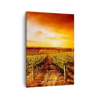 Arttor Bilder auf Leinwand Weinberg Aussicht Landschaft Leinwandbild mit Rahmen 50x70cm Wandbilder Dekoration Wohnzimmer Schlafzimmer K&uuml;che Deko Gro&szlig; Wanddek