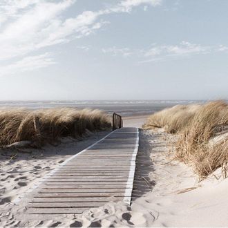 Eurographics Eurographics DG-DT5284 Deco Glass, Glasbild, Morning Walk, 20 x 20 cm