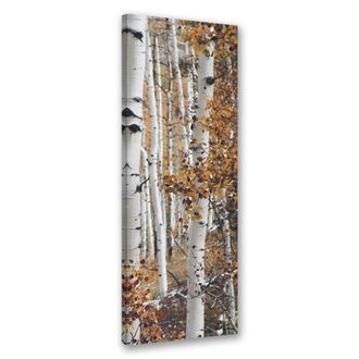 Feeby Leinwand Bilder - Natur - Wald - 50x150 cm- Deko Wohnzimmer - Wandbilder Schlafzimmer - Deko Aesthetic - Wand Deko - Leinwand Groß - Bäume - Deko Zimm