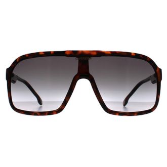 Carrera Schild Herren Havanna Grau Gradient 1046/S
