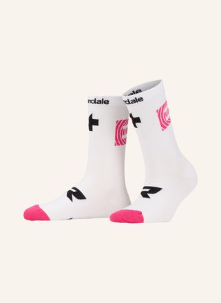 Assos Radsocken Equipe R Socks Ef pink