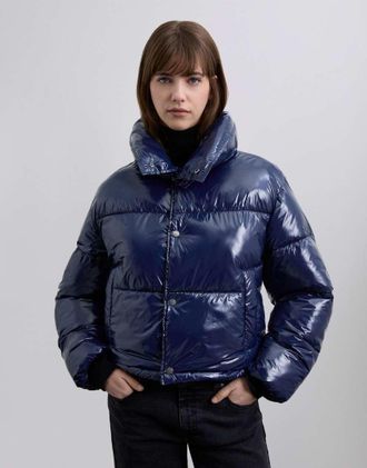 Scalpers Shinny - Pufferjacke in Marineblau mit Kragen