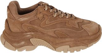 Ash Low-Top Sneaker - Addict Sneakers Brown - Gr. 38 (EU) - in Braun - für Damen