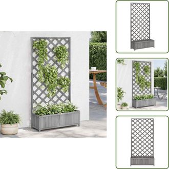 vidaXL The Living Store - Jardini&egrave;re avec treillis gris bois massif de sapin - Jardinier&egrave; - Pot De Fleurs - Plante Grimpante - Bac &agrave; Plantation - Bois Massif