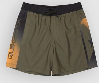 Quiksilver Everyday Holmes Volley 16 Kids Boardshort &agrave; motifs