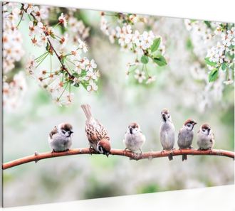 Runa Art Bild Spatzen Modern Wandbilder Wohnzimmer Schlafzimmer - Made In Germany - Natur Frühling Grün Flur 050115a