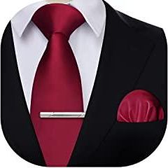 Hisdern Cravate Bordeaux Homme Formelle Élégante Classique Ensemble de Cravates et Mouchoir et Pince pour Mariage Affaires Fête