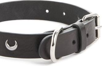 Marine Serre Collier pour chien en cuir