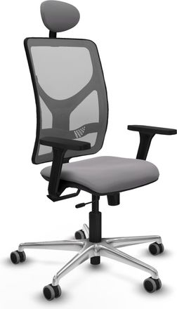 Piqueras y Crespo Motorradstuhl mit 3D-Armlehnen, h&ouml;henverstellbarer Lendenwirbelst&uuml;tze und festem Kopfteil, ausgestattet mit Syncro/Traslack und Schneideschaum, Grau/G