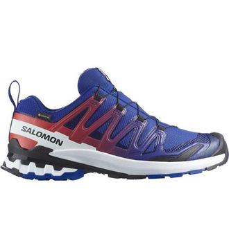 Salomon XA PRO 3D V9 GTX M - Trailrunning Schuhe - Herren