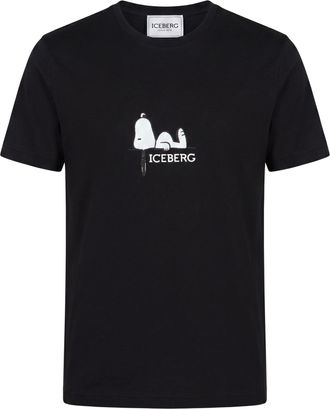 Iceberg PEANUTS