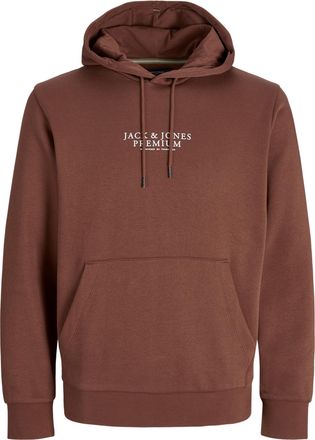 Jack & Jones Jprbluarchie Sweat Hood Noos